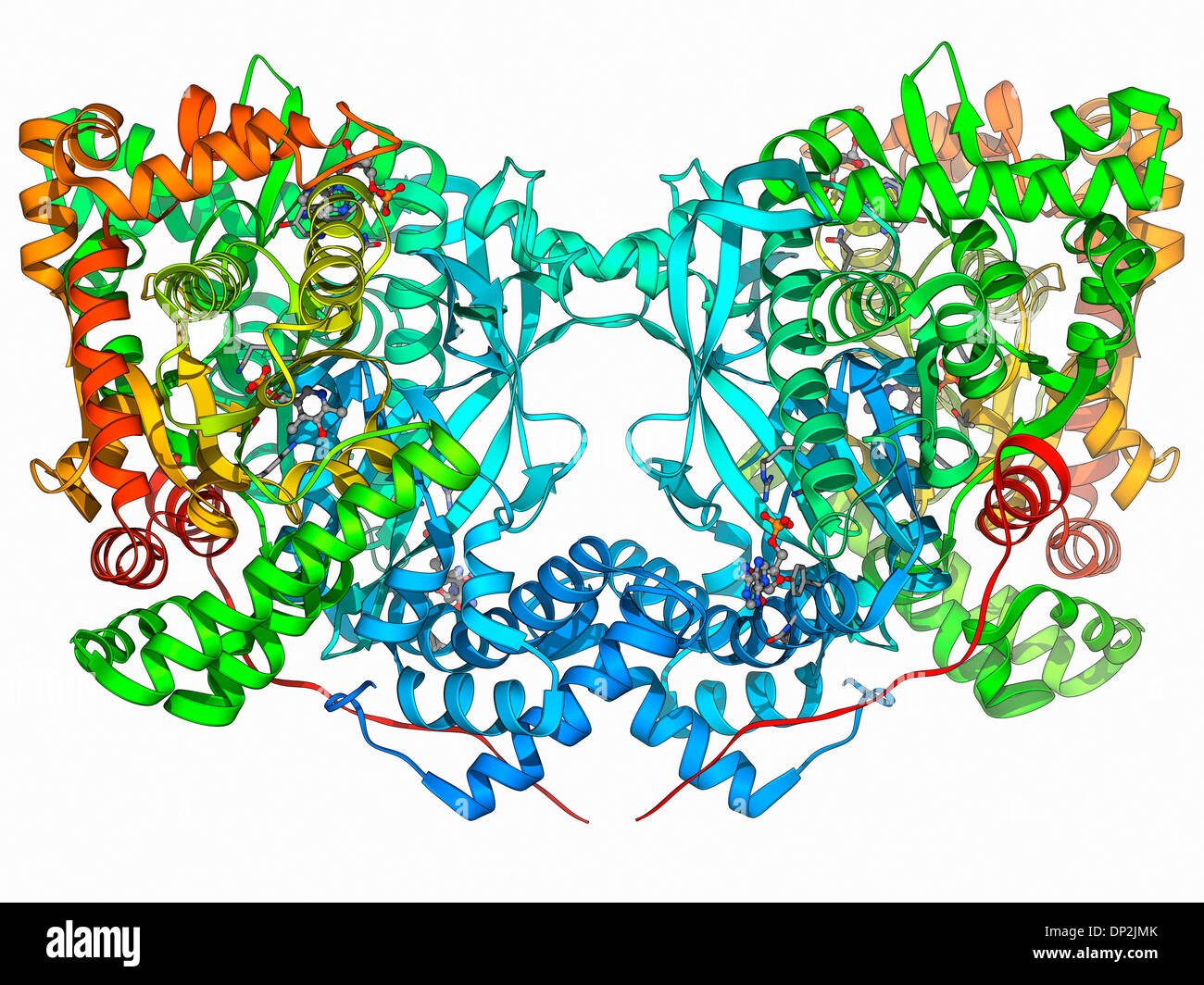 Glycogen phosphorylase molecule Stock Photo - Alamy