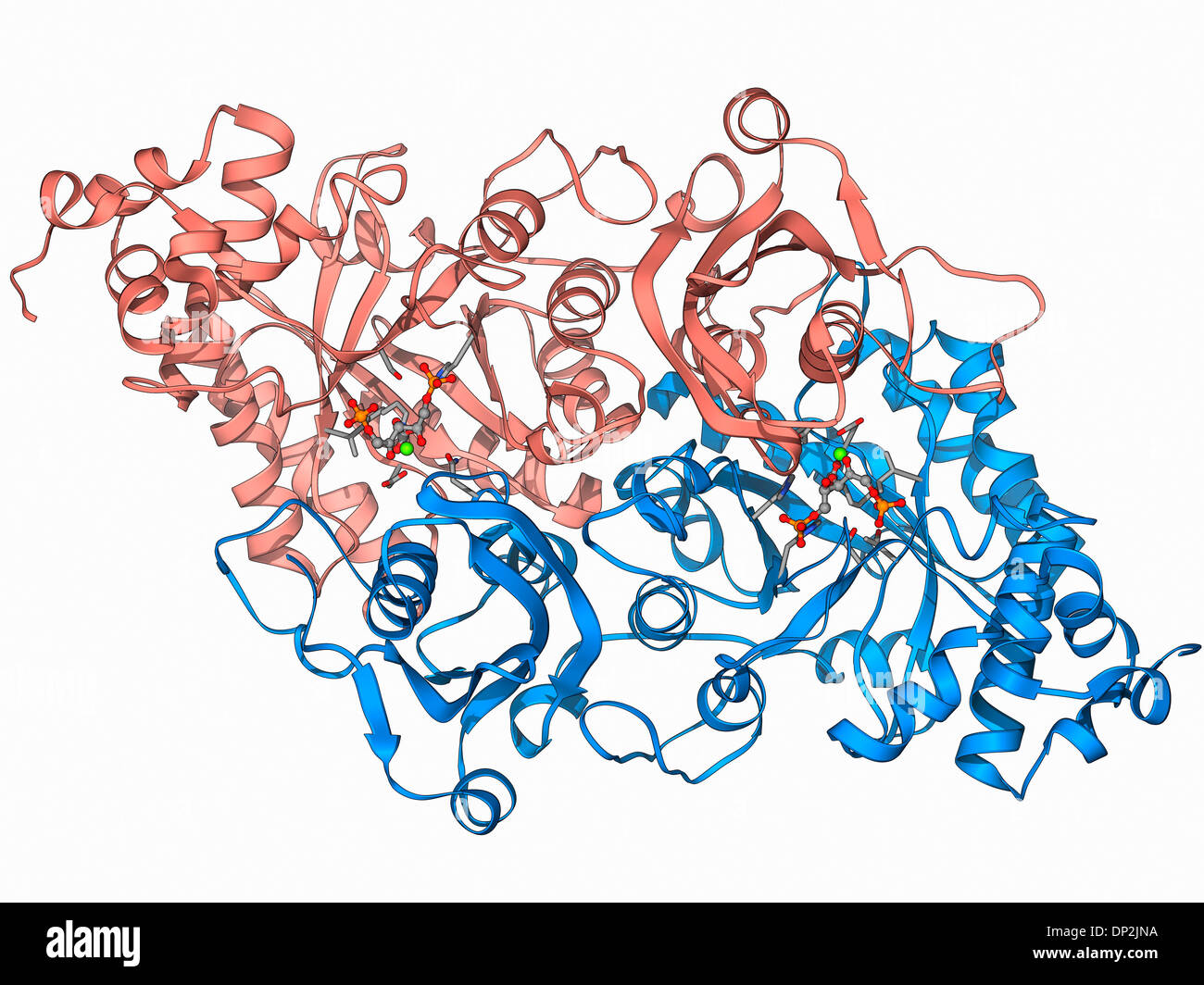 Structure Of Rubisco