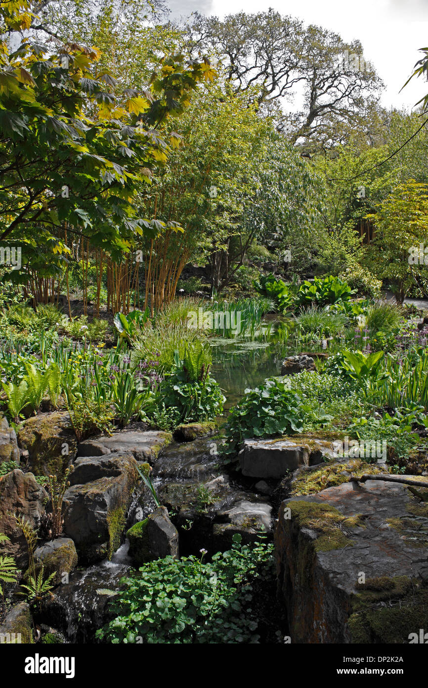 Stream uk garden hi-res stock photography and images - Alamy