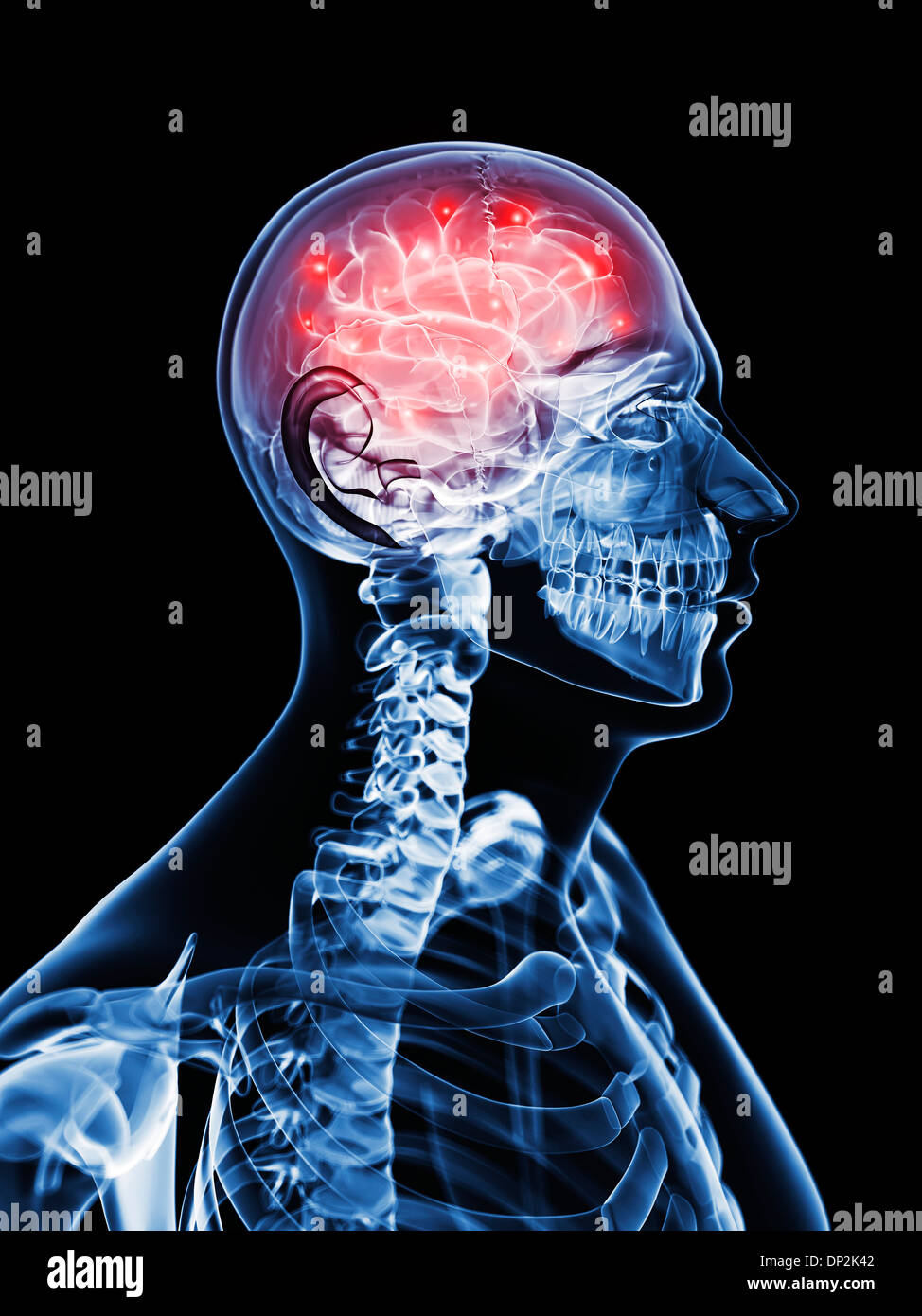 Active brain, artwork Stock Photo - Alamy