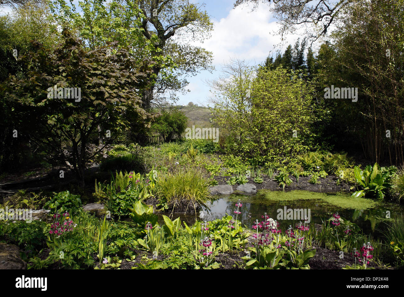 Garden pond and water feature hi-res stock photography and images - Alamy