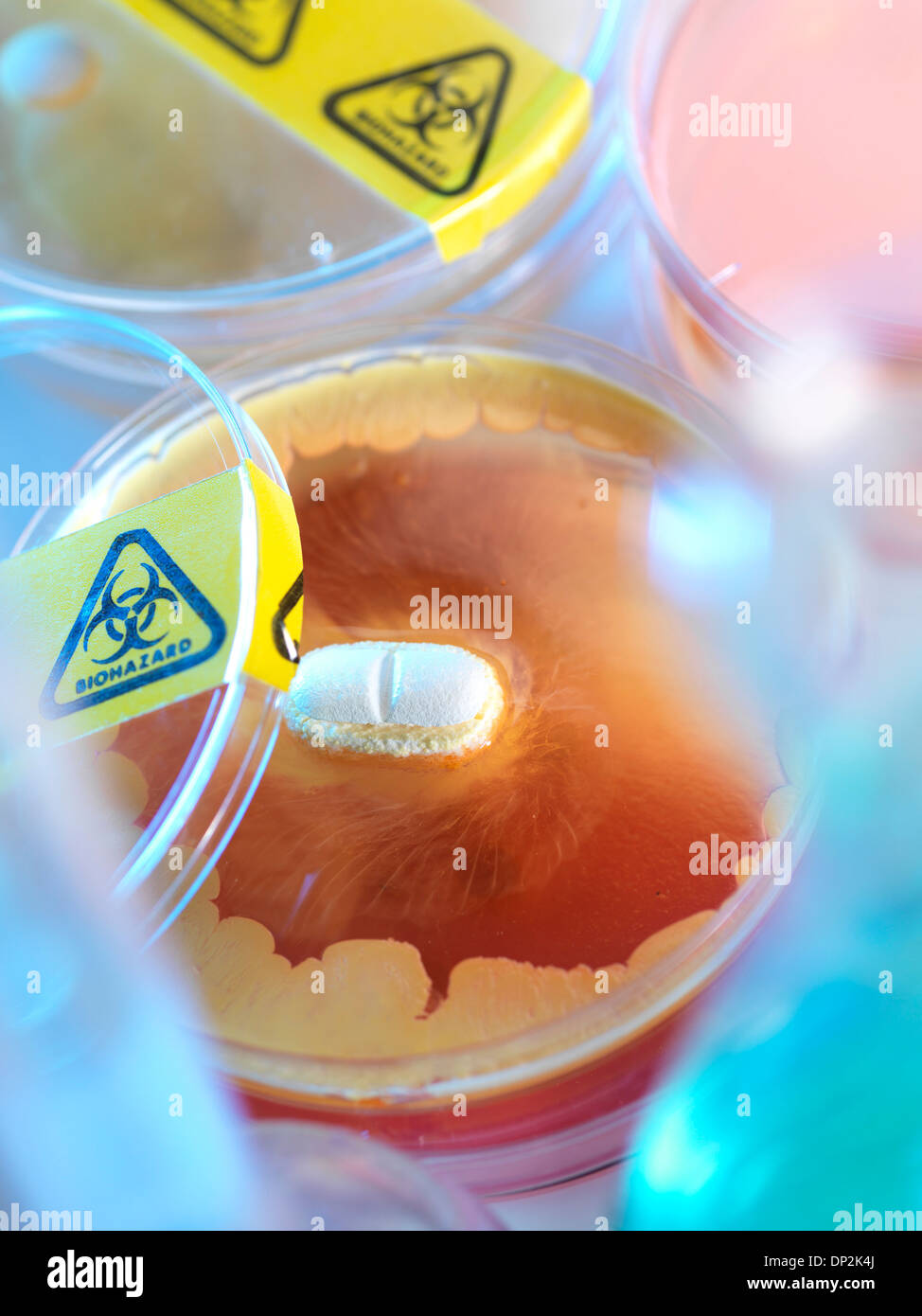 Antibiotic resistance lab hi-res stock photography and images - Alamy