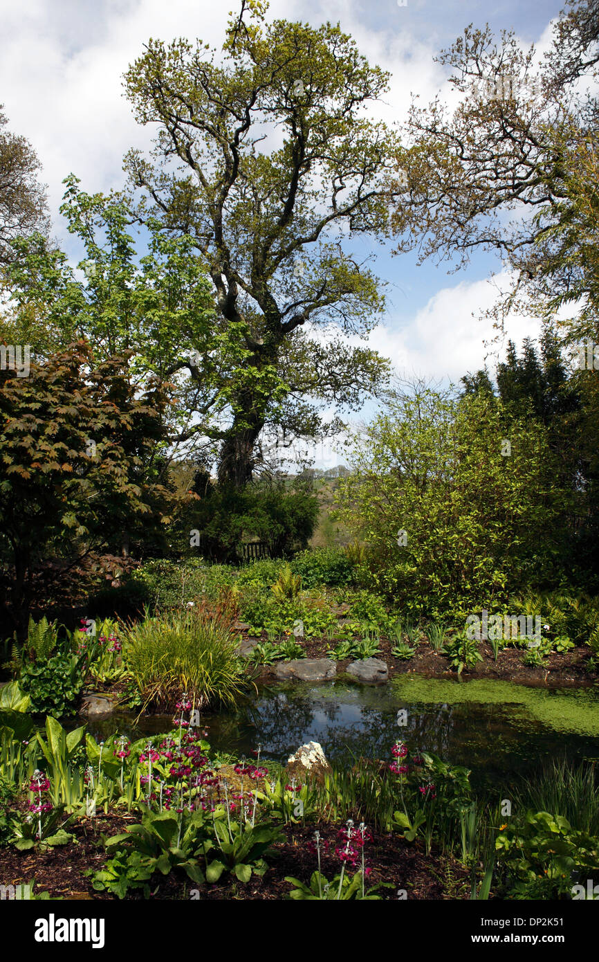 Garden pond and water feature hi-res stock photography and images - Alamy