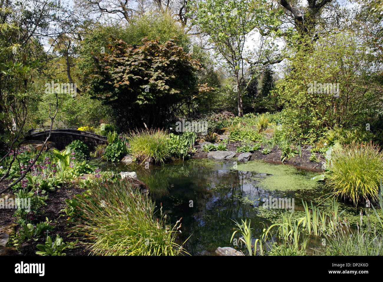 Garden pond and water feature hi-res stock photography and images - Alamy
