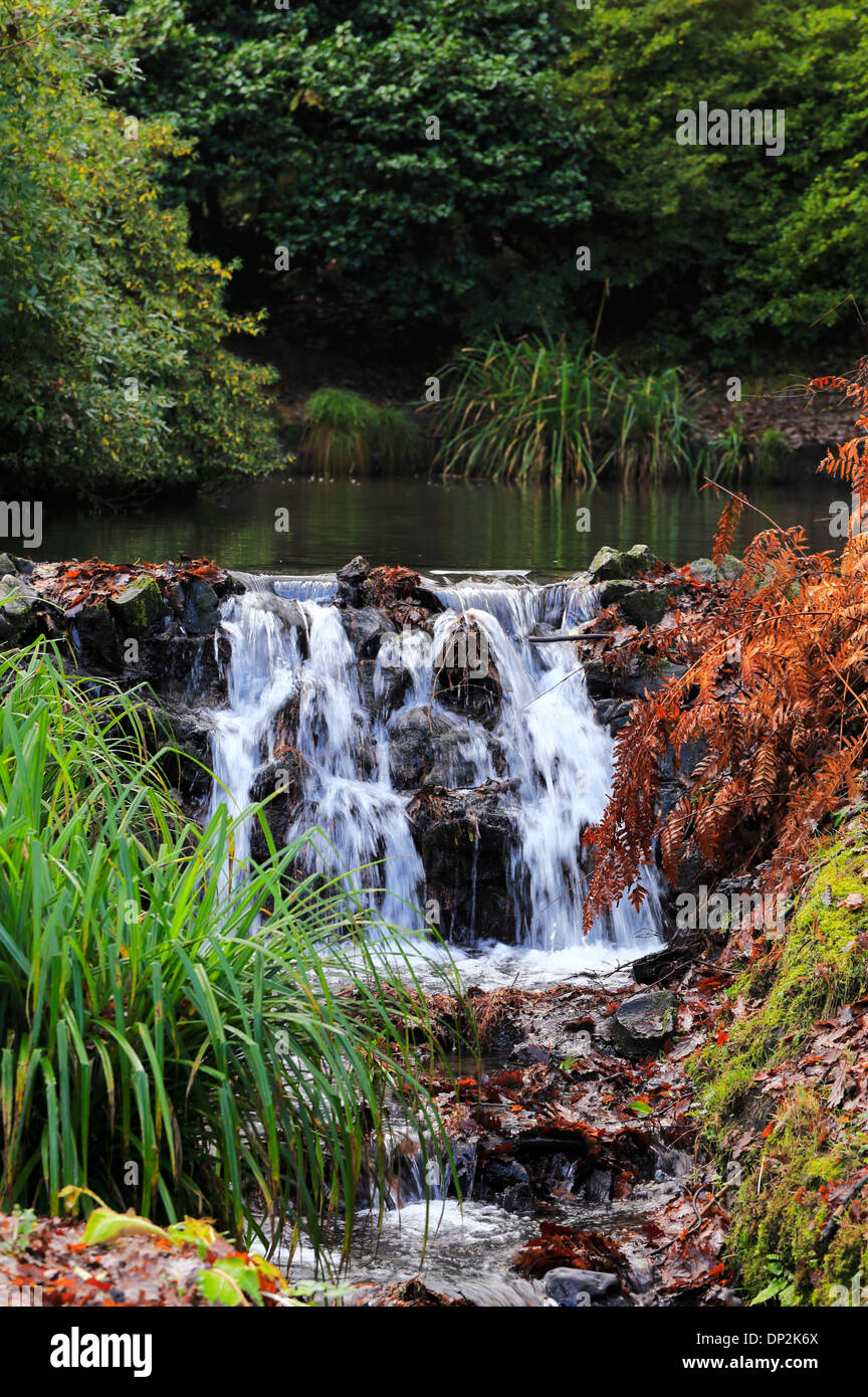 Clyne gardens hi-res stock photography and images - Alamy