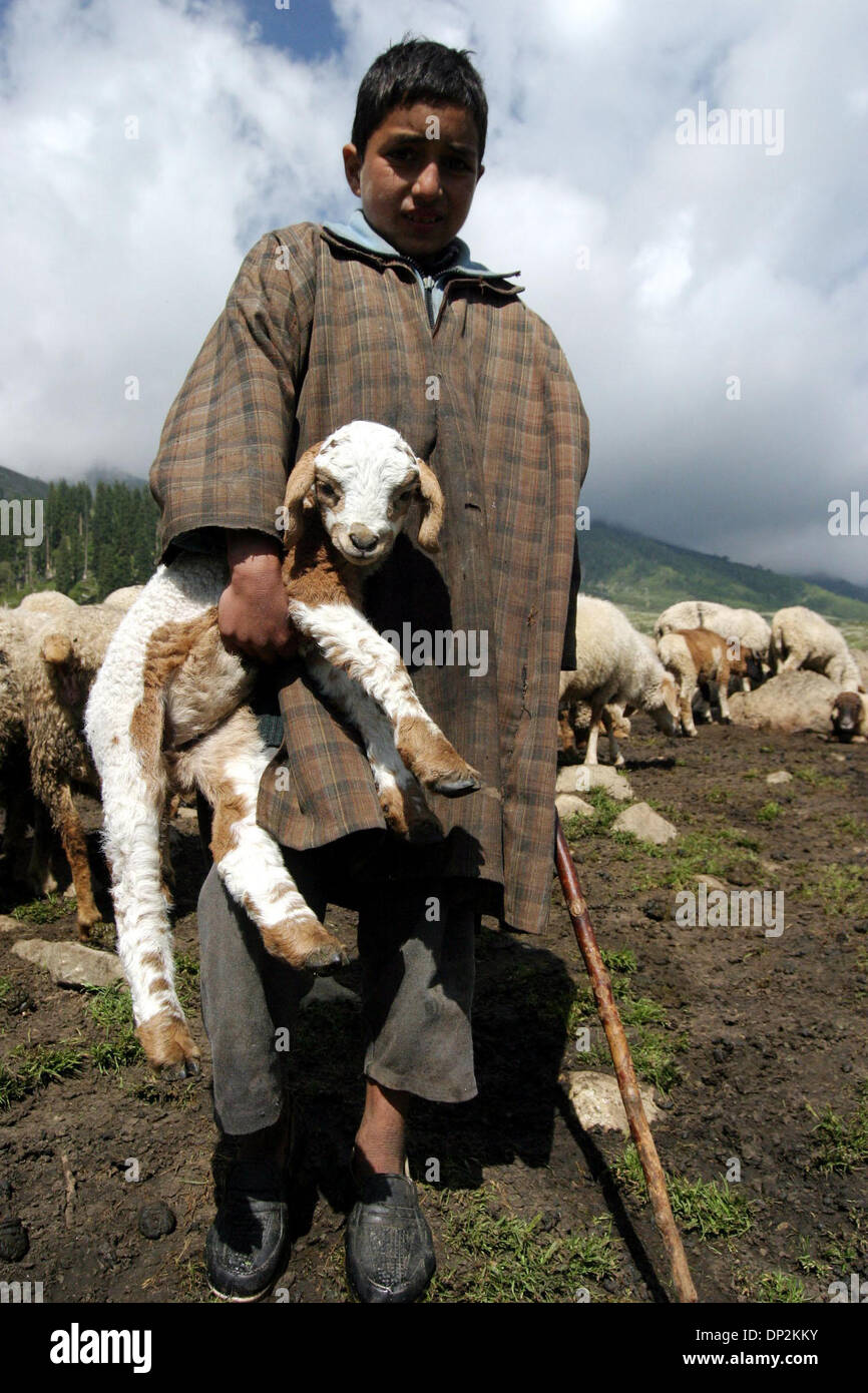 Jun 06, 2006; Srinagar, Kashmir, INDIA; A Shepherd boy showcases his ...