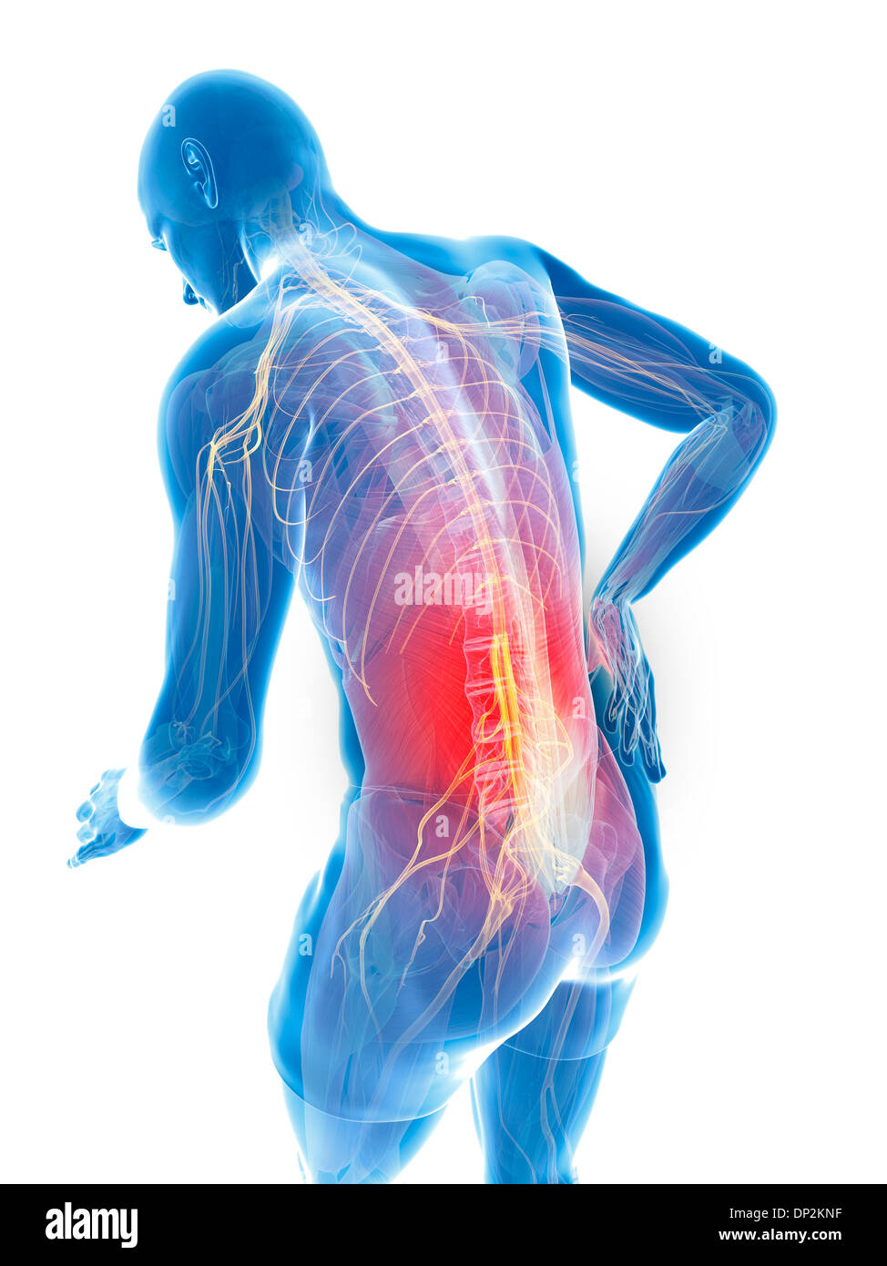 Back pain illustration hi-res stock photography and images - Alamy