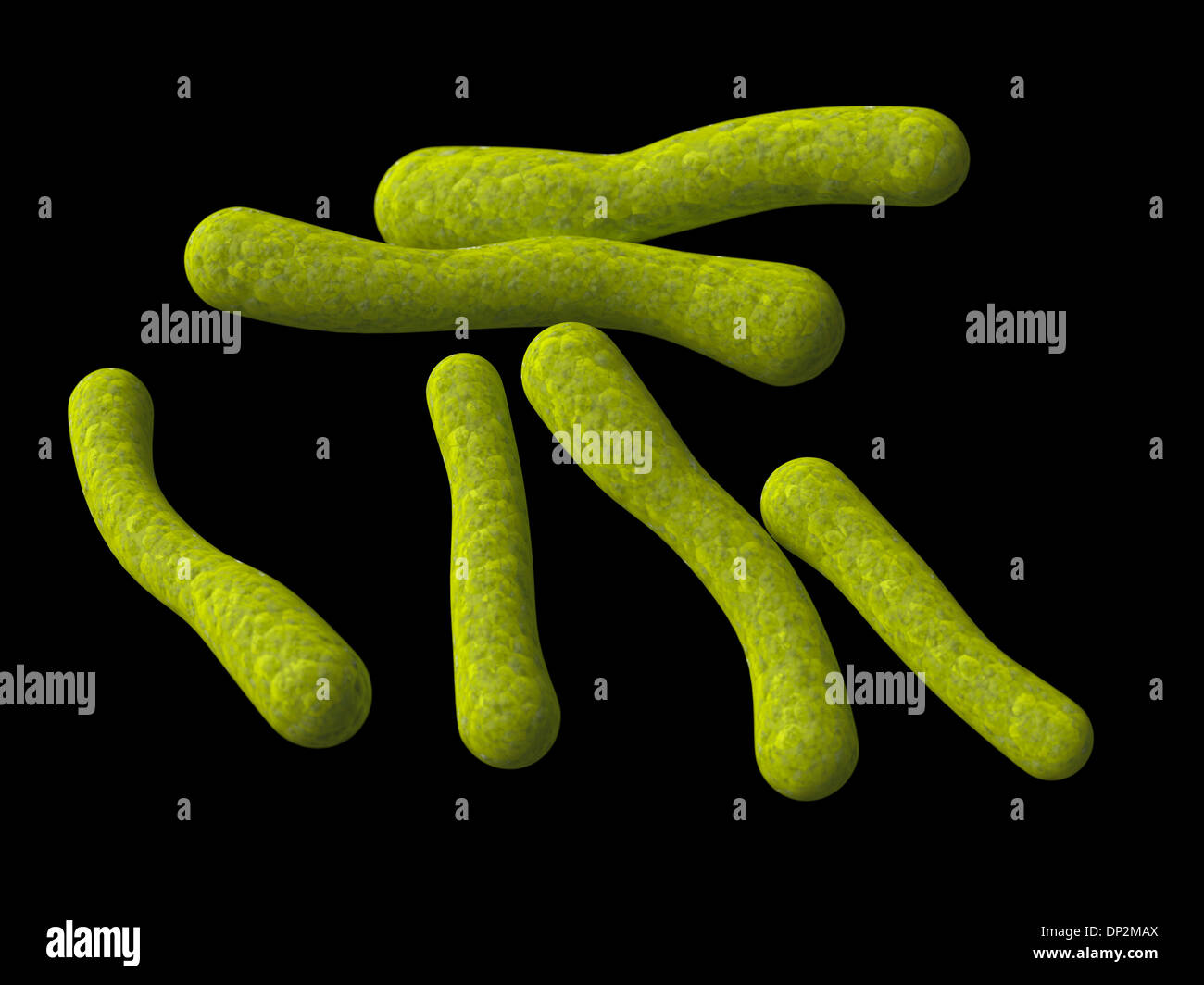 Mycoplasma pneumoniae hi-res stock photography and images - Alamy