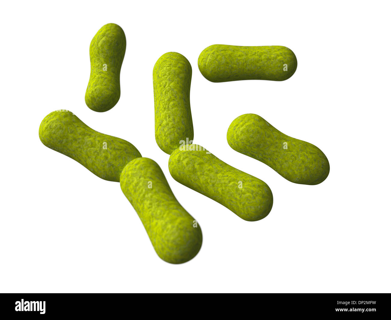 Propionibacterium acnes hi-res stock photography and images - Alamy