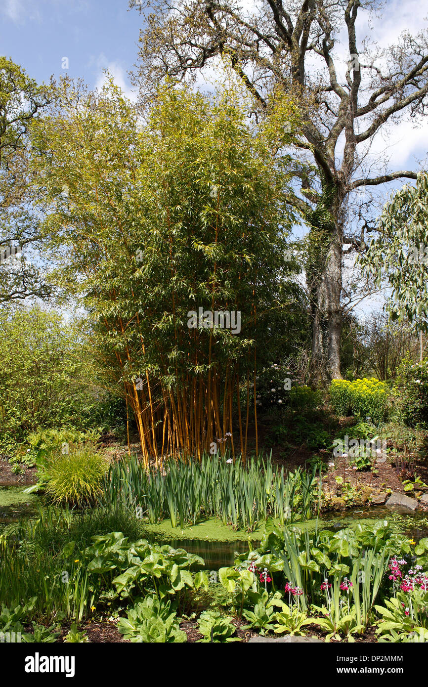 Ornamental pond in english country hi-res stock photography and images ...