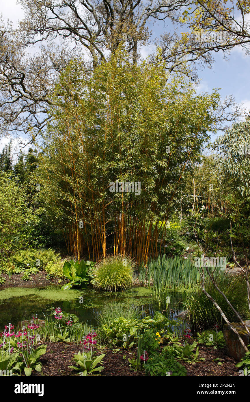 Ornamental pond in english country hi-res stock photography and images ...
