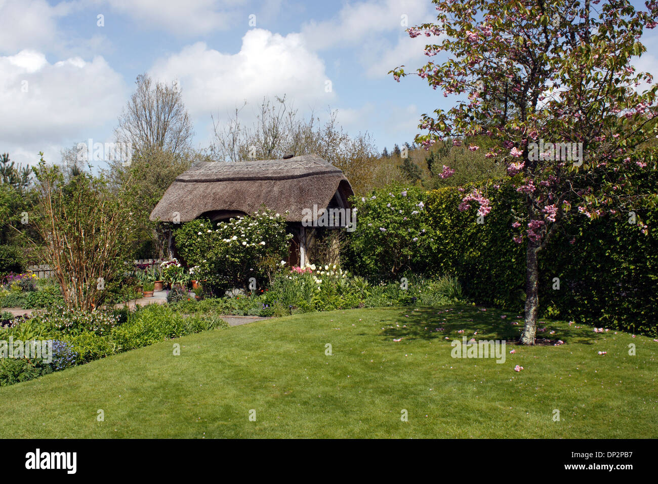 THATCHED SUMMER HOUSE IN THE GARDENS OF RHS ROSEMOOR Stock Photo - Alamy