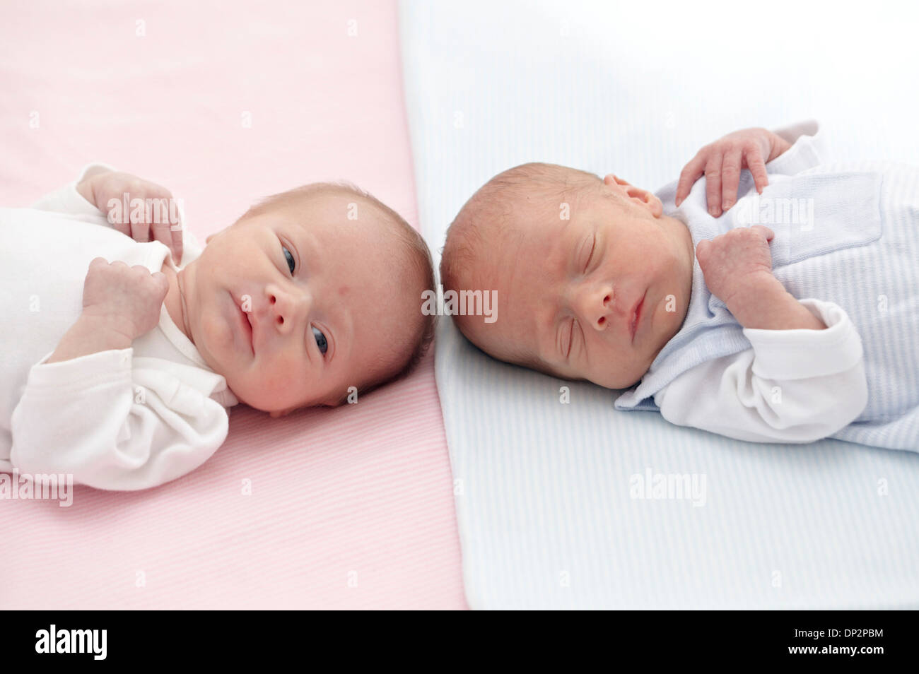 Two week old twins Stock Photo - Alamy
