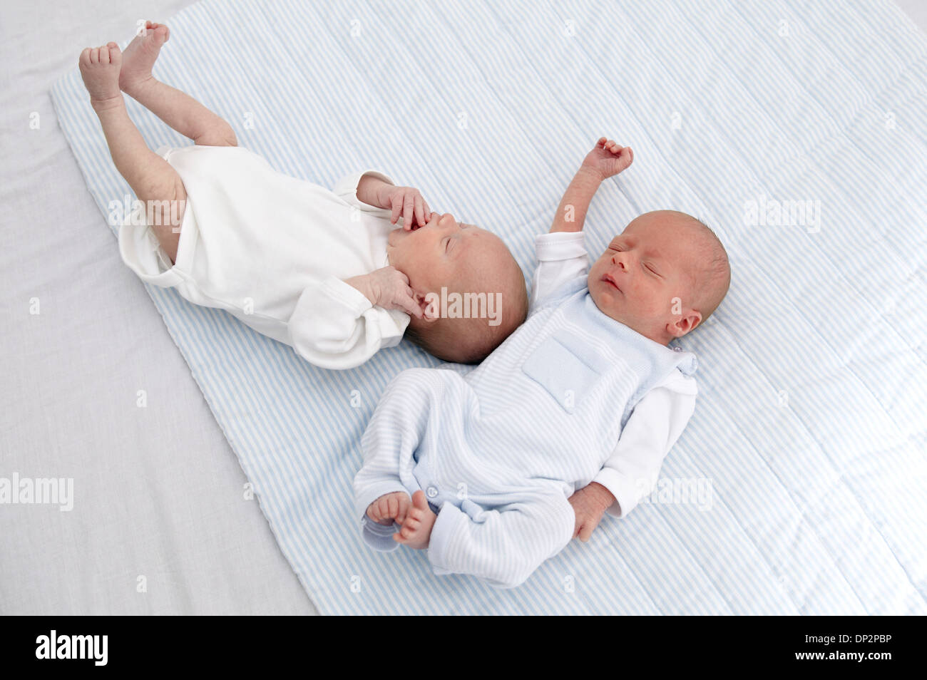 Two week old twins Stock Photo - Alamy