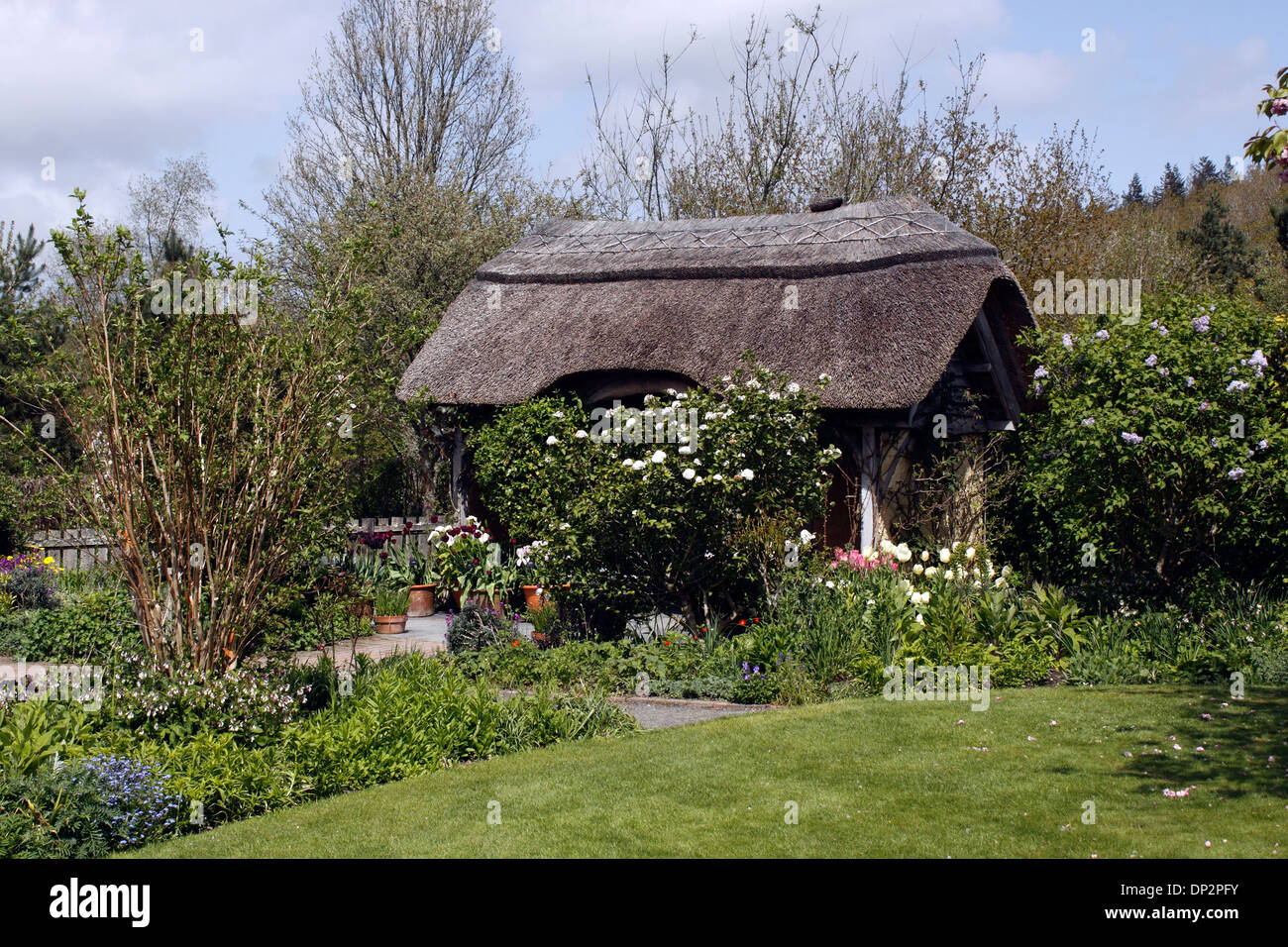 THATCHED SUMMER HOUSE IN THE GARDENS OF RHS ROSEMOOR Stock Photo - Alamy