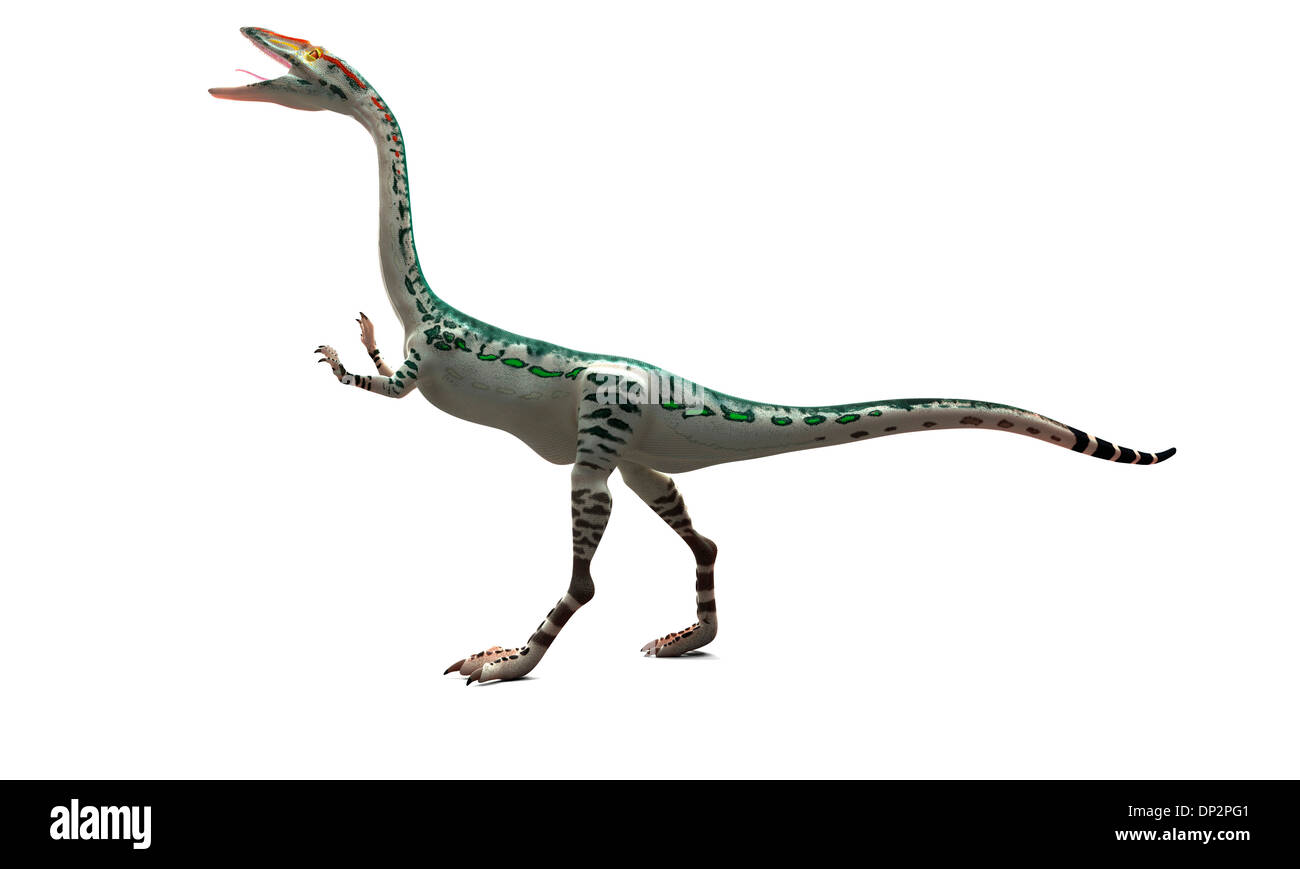 Coelophysis dinosaur, artwork Stock Photo - Alamy