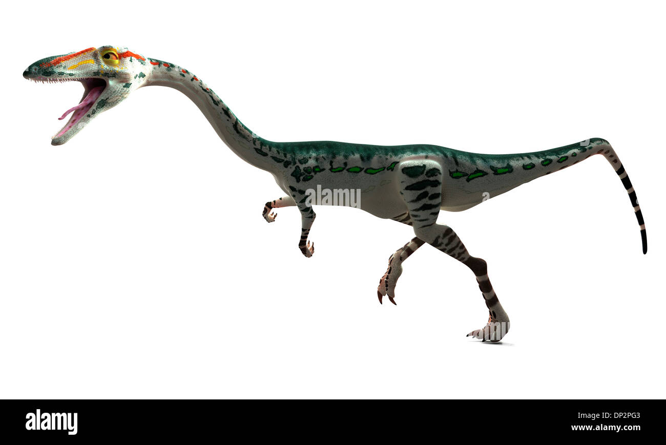 Coelophysis dinosaur, artwork Stock Photo - Alamy