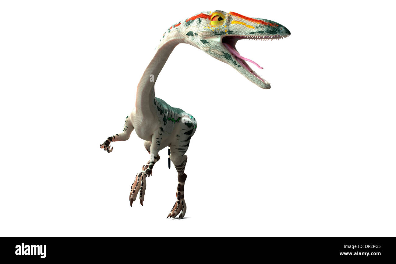 Coelophysis dinosaur, artwork Stock Photo - Alamy