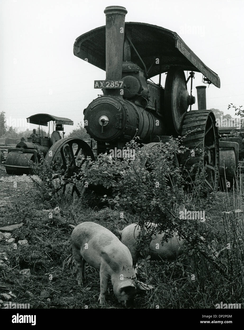 Steam Engine Scrap Yard High Resolution Stock Photography and Images ...