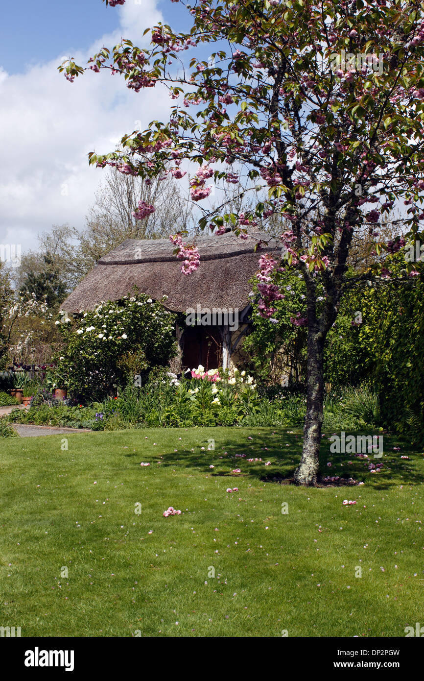 THATCHED SUMMER HOUSE IN THE GARDENS OF RHS ROSEMOOR Stock Photo - Alamy