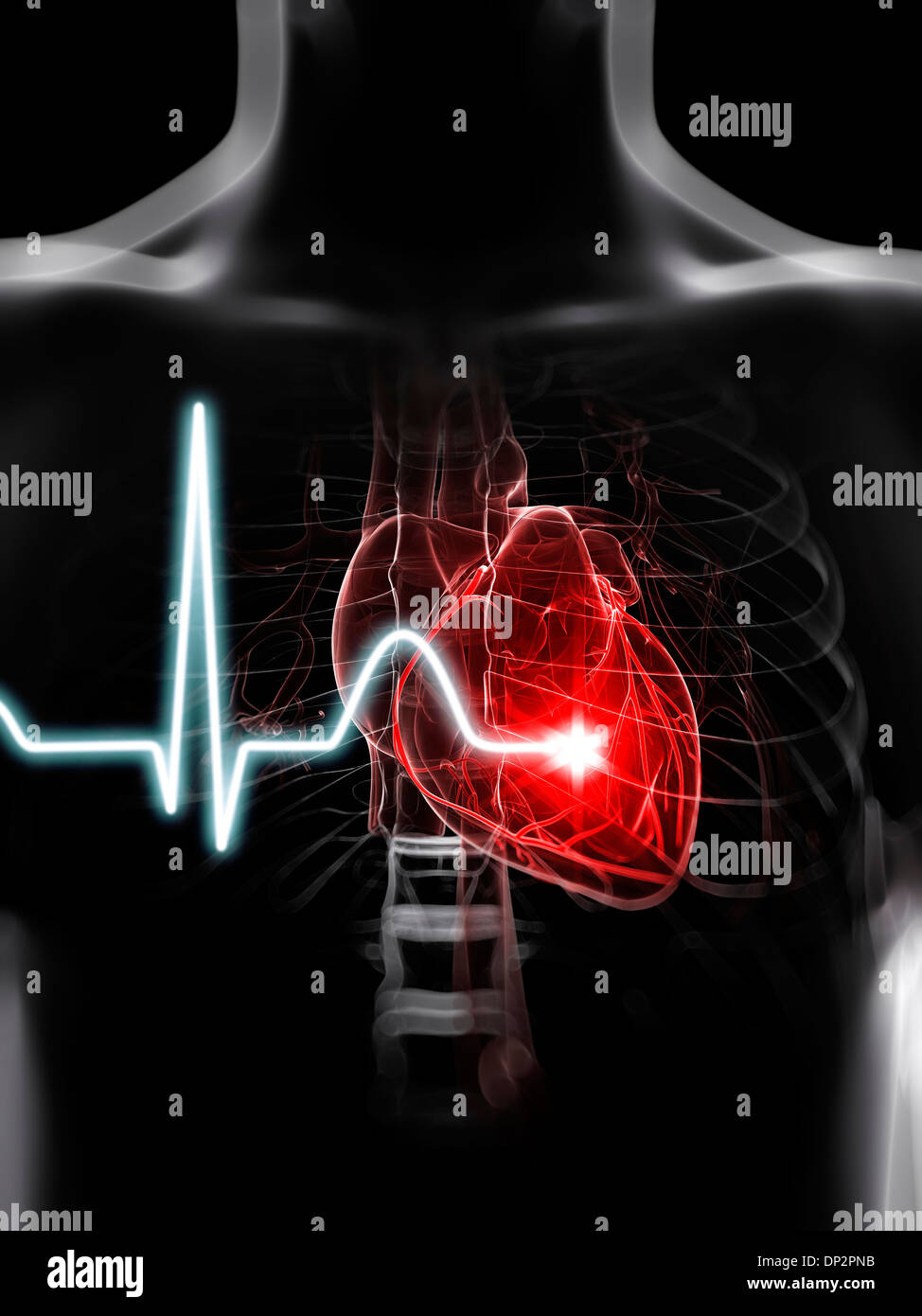 Normal heartbeat hi-res stock photography and images - Alamy