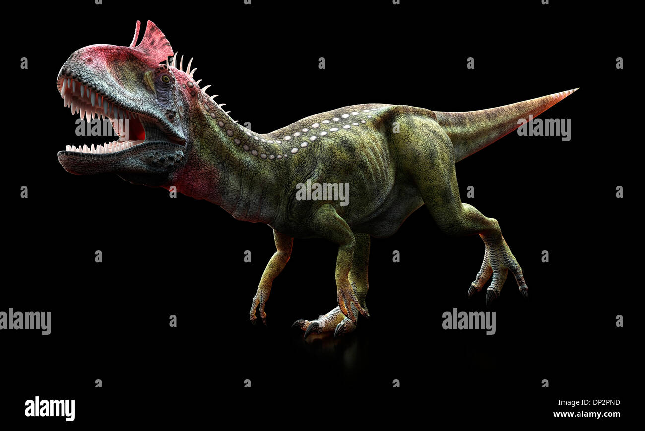 Dinosaur cryolophosaurus hi-res stock photography and images - Alamy