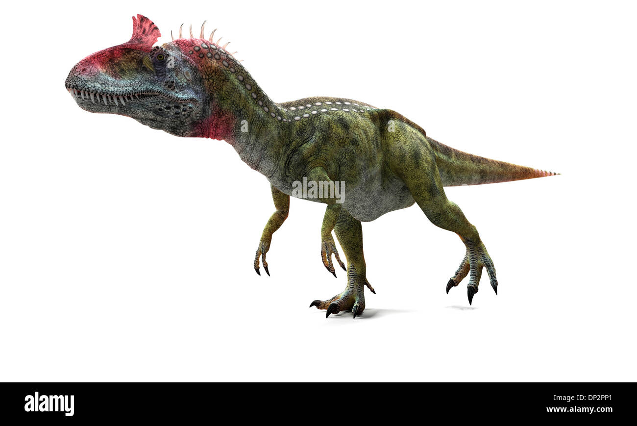 Dinosaur cryolophosaurus hi-res stock photography and images - Alamy