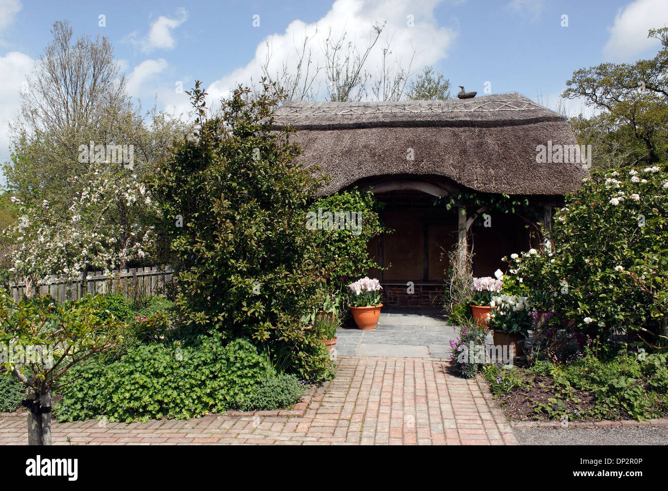 THATCHED SUMMER HOUSE IN THE GARDENS OF RHS ROSEMOOR Stock Photo - Alamy