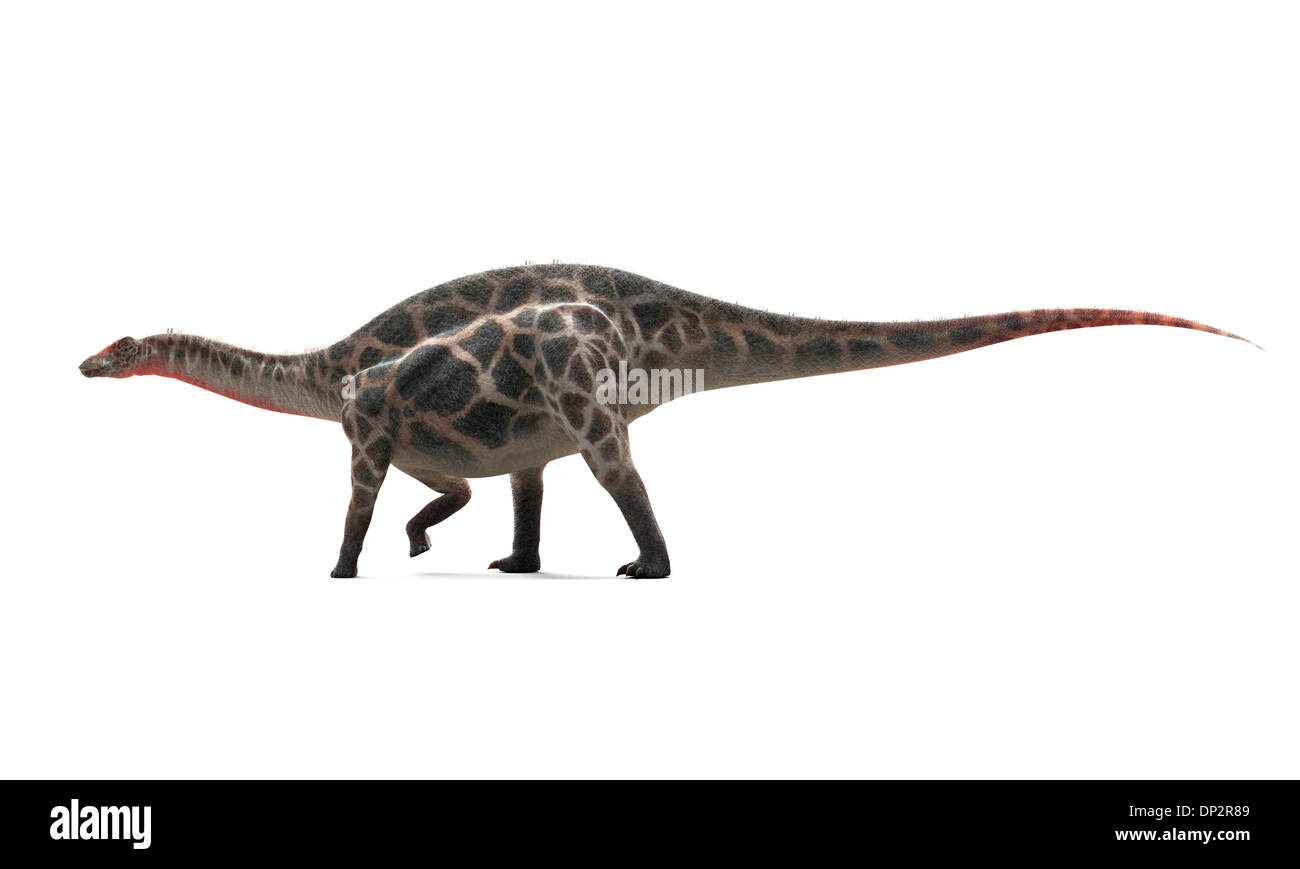 Dicraeosaurus dinosaur, artwork Stock Photo - Alamy