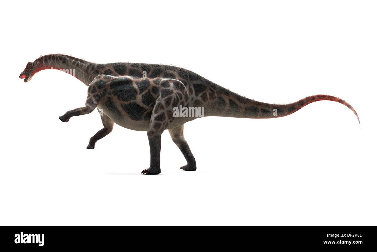 Dicraeosaurus dinosaur, artwork Stock Photo - Alamy