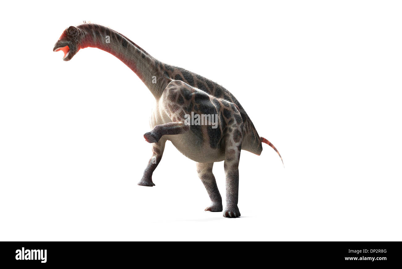 Dicraeosaurus dinosaur, artwork Stock Photo - Alamy
