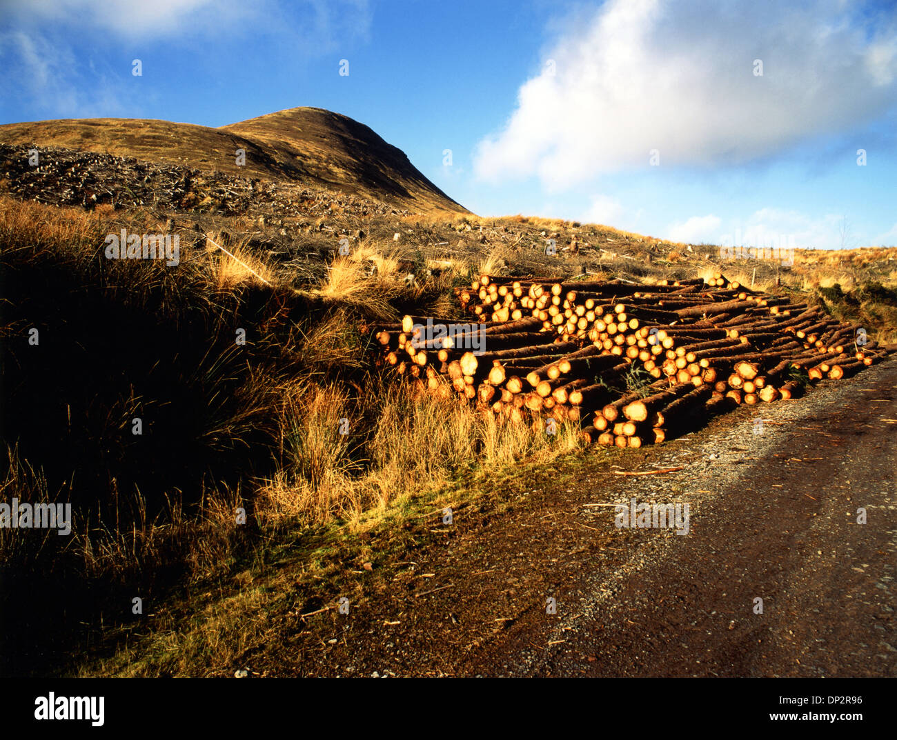 Welsh deforestation hi-res stock photography and images - Alamy