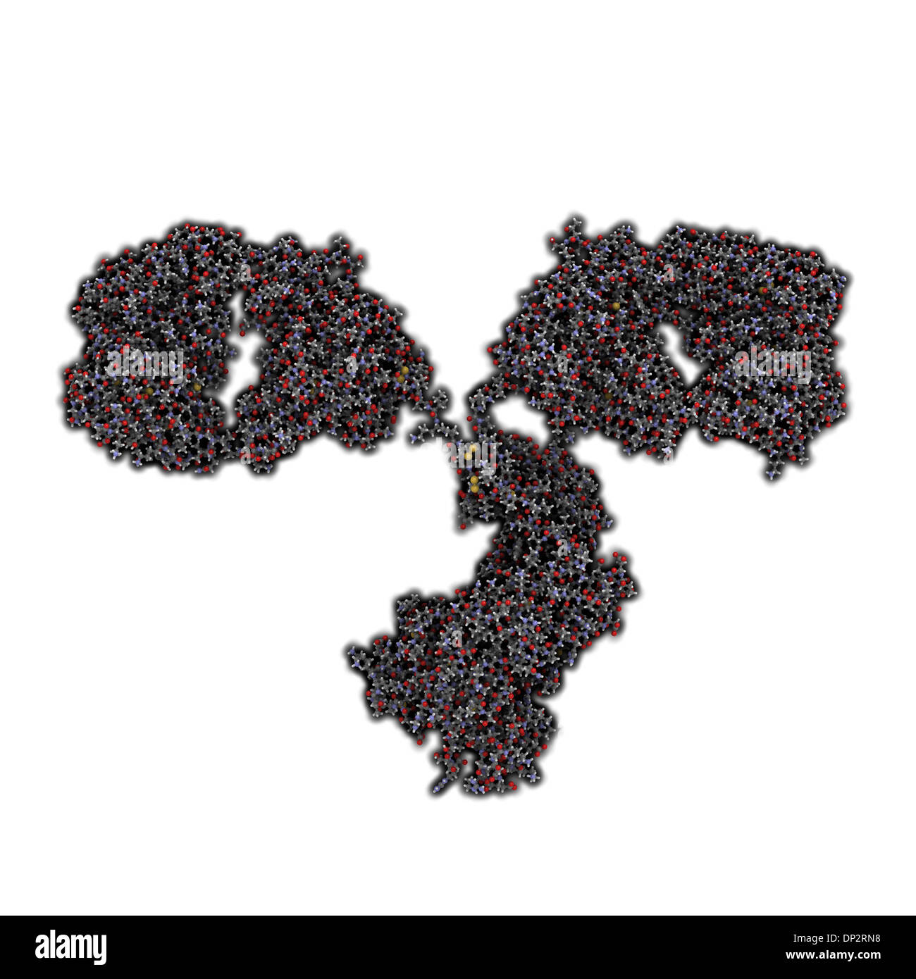 Antibody molecule molecular structure monoclonal Cut Out Stock Images ...