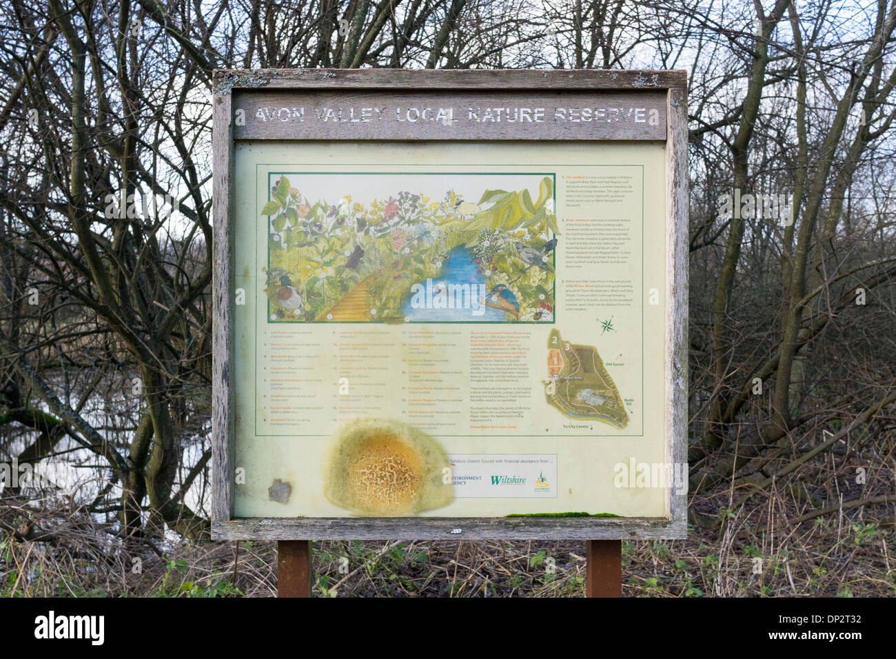 Avon Valley nature reserve information notice board next to the River ...