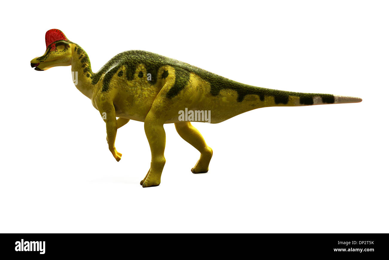 Hadrosaurus High Resolution Stock Photography and Images - Alamy