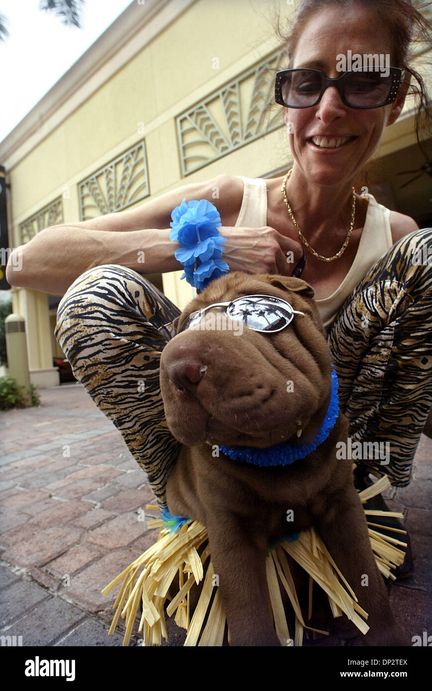 Jun 10, 2006; Boca Raton, FL, USA; Denise Gool brings her toy shar-pei ...
