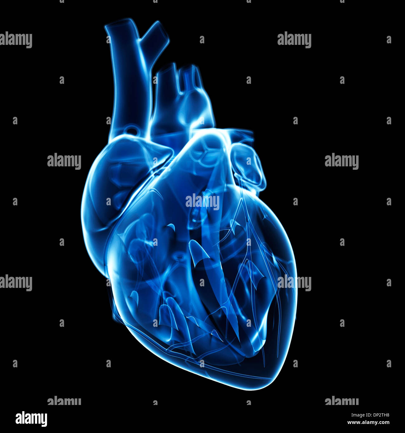 Human heart artwork hi-res stock photography and images - Alamy