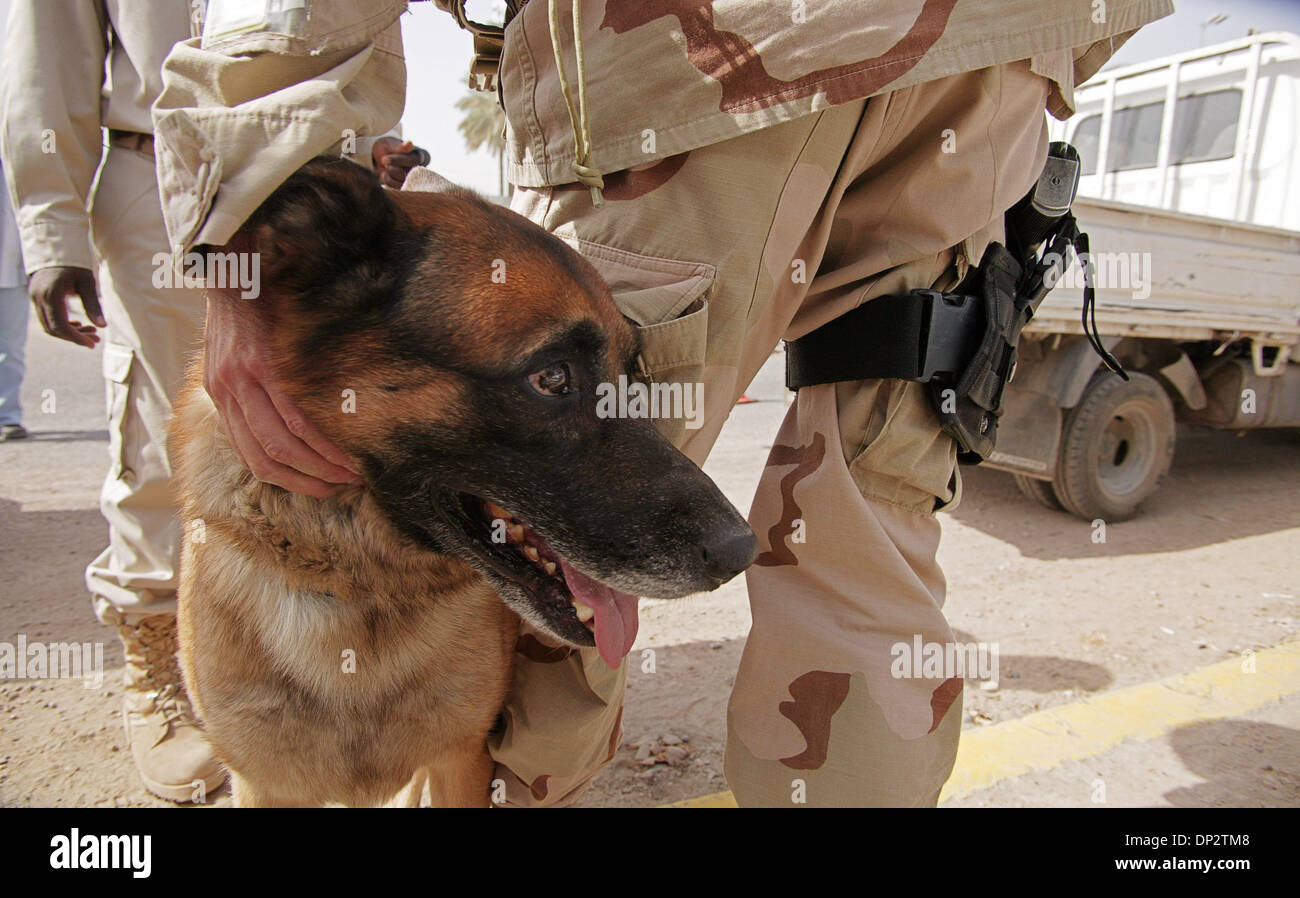 Military bomb sniffing dog hi-res stock photography and images - Alamy