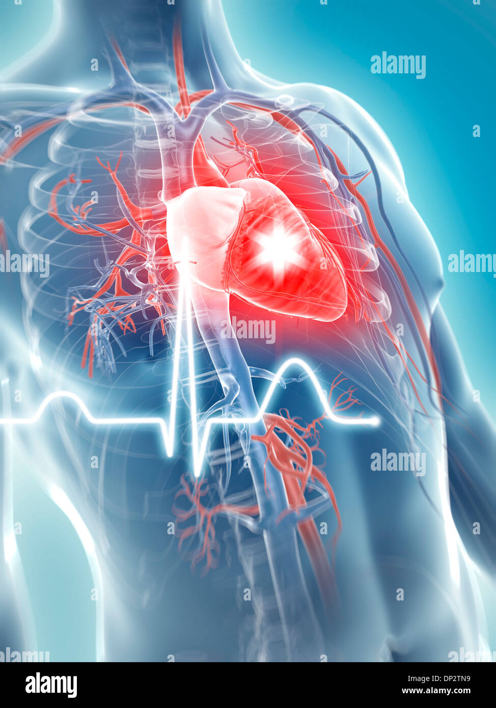 Heart beat, artwork Stock Photo - Alamy