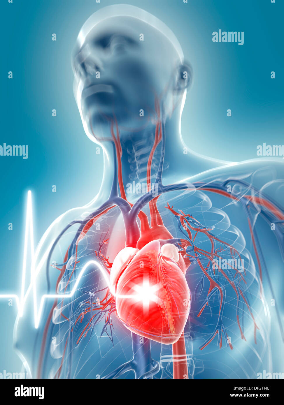 You are the beat of my heart hi-res stock photography and images - Alamy