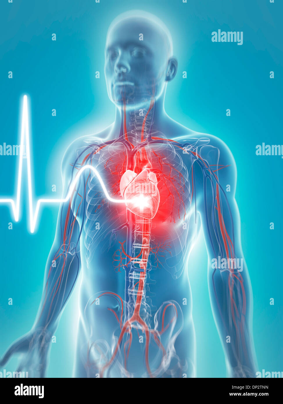 Heart beat, artwork Stock Photo - Alamy