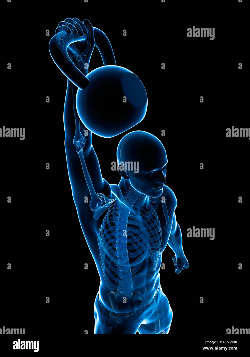 Kettlebell workout, artwork Stock Photo - Alamy