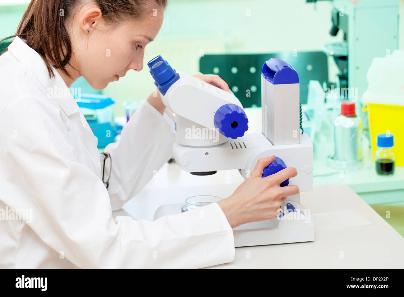 Glasses microbiology hi-res stock photography and images - Alamy