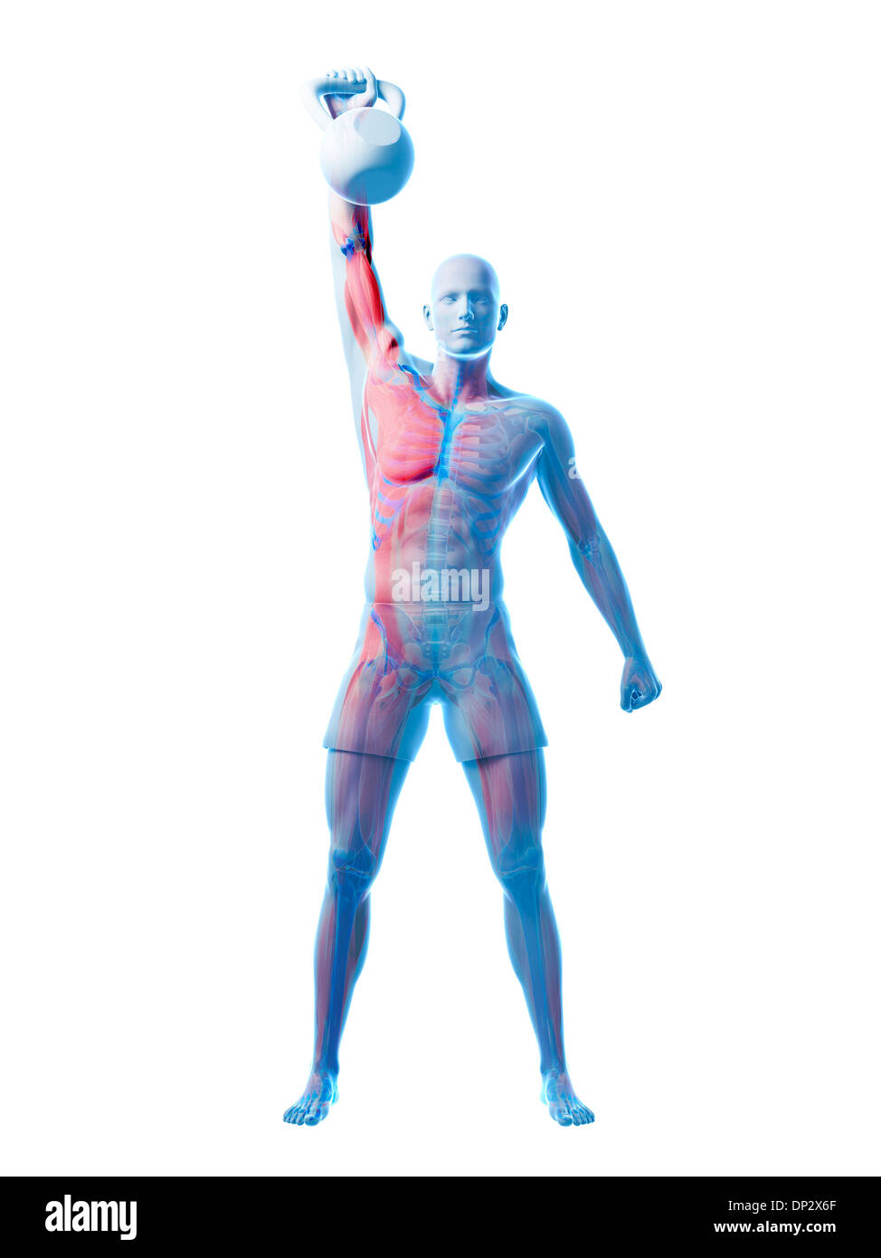 Full body workout Cut Out Stock Images & Pictures - Alamy