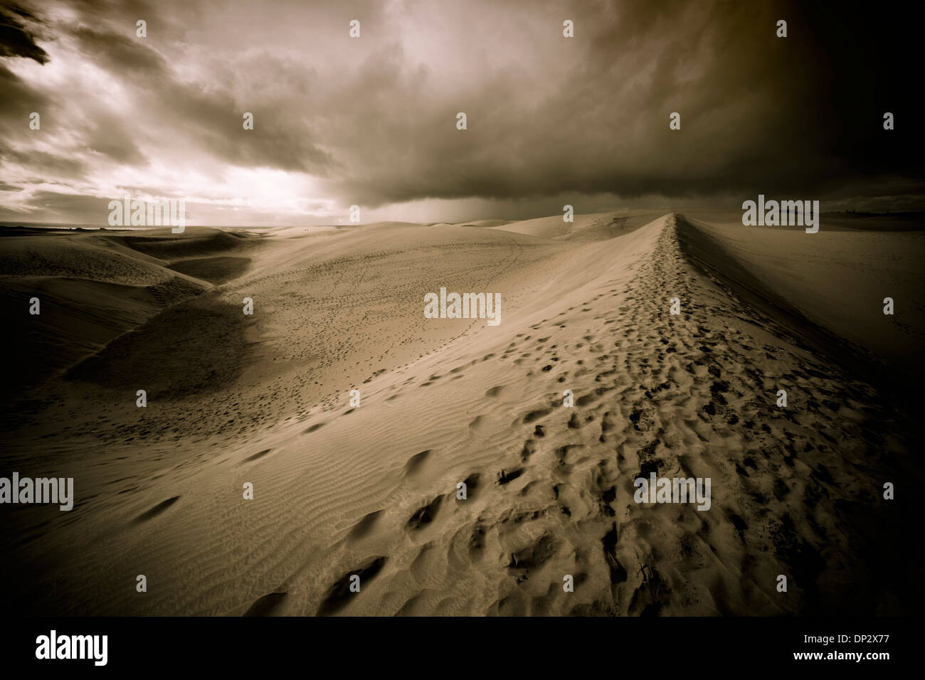 Desert at night Stock Photo - Alamy