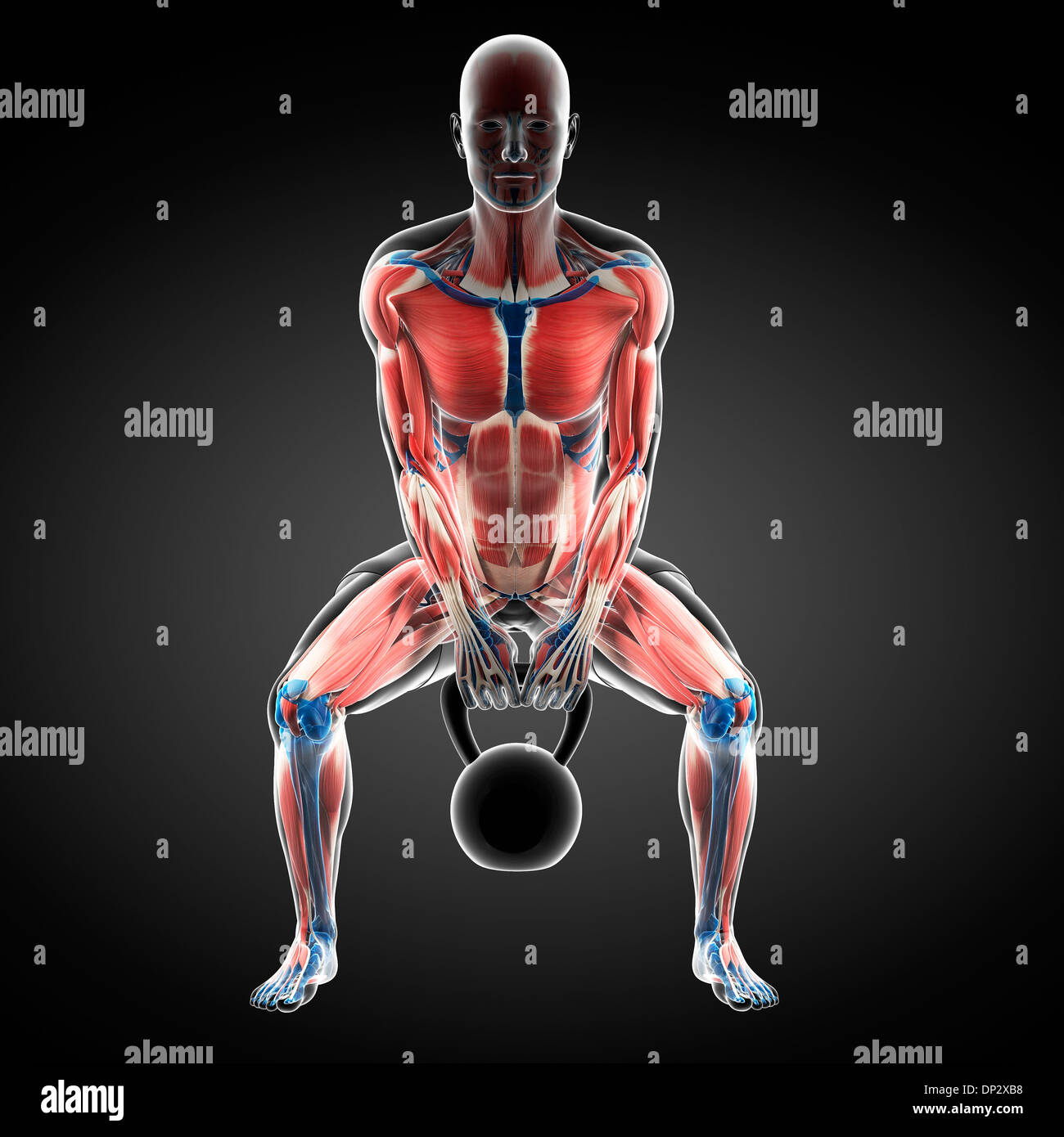 Kettlebell workout, artwork Stock Photo - Alamy
