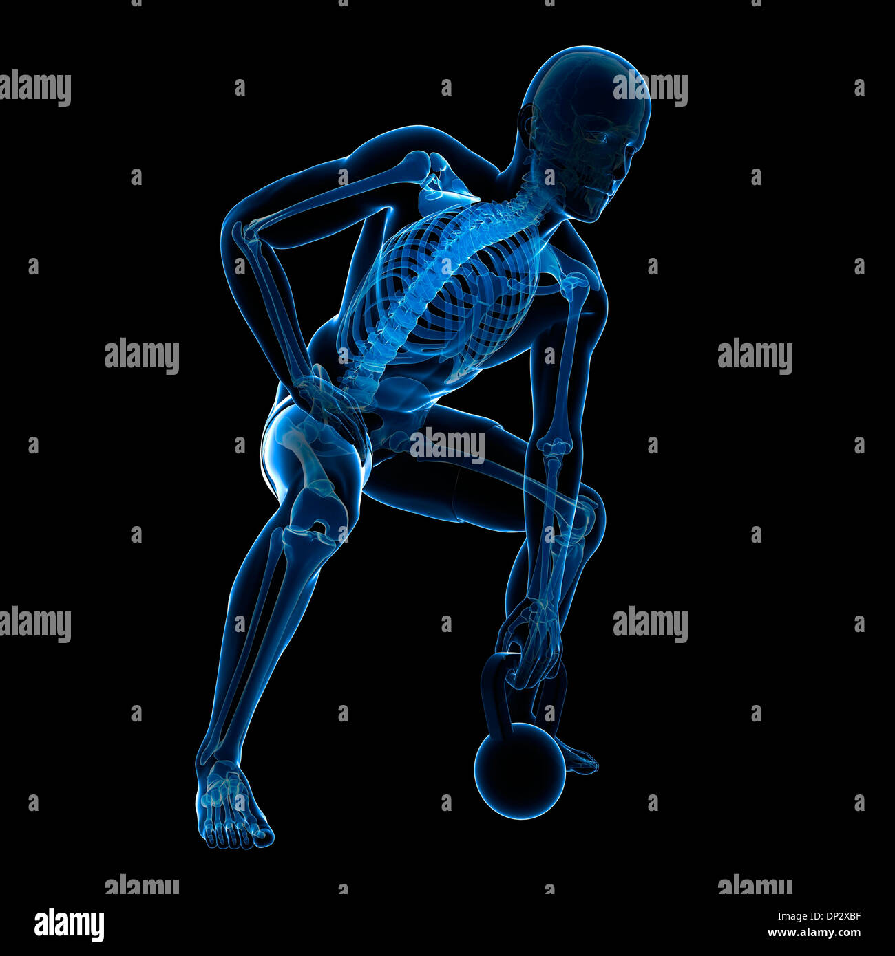 Kettlebell workout, artwork Stock Photo - Alamy