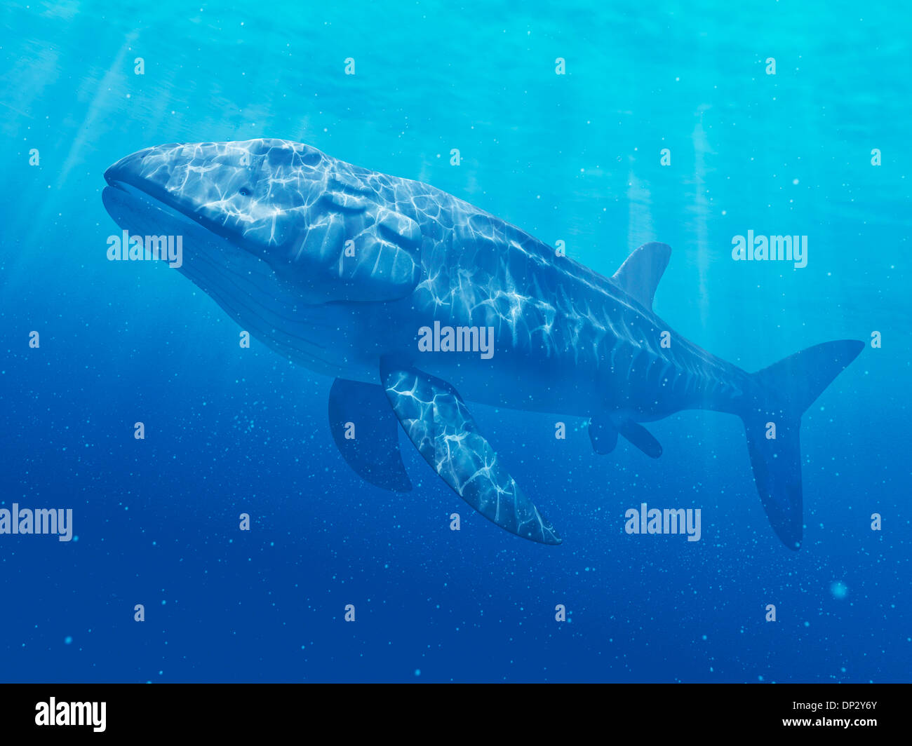 Prehistoric fish hi-res stock photography and images - Alamy