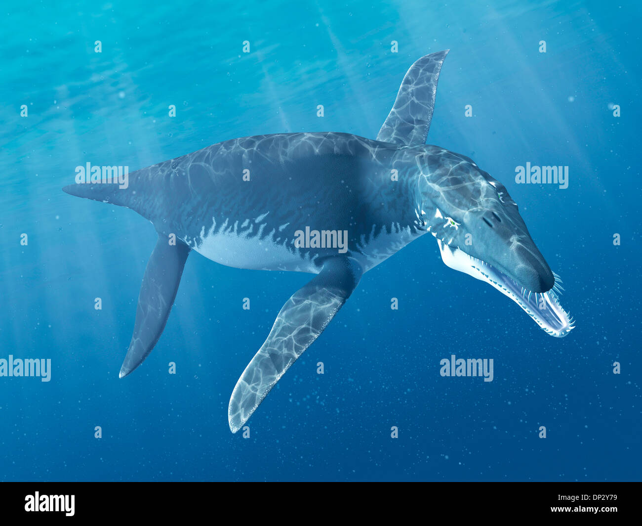 Liopleurodon hi-res stock photography and images - Alamy