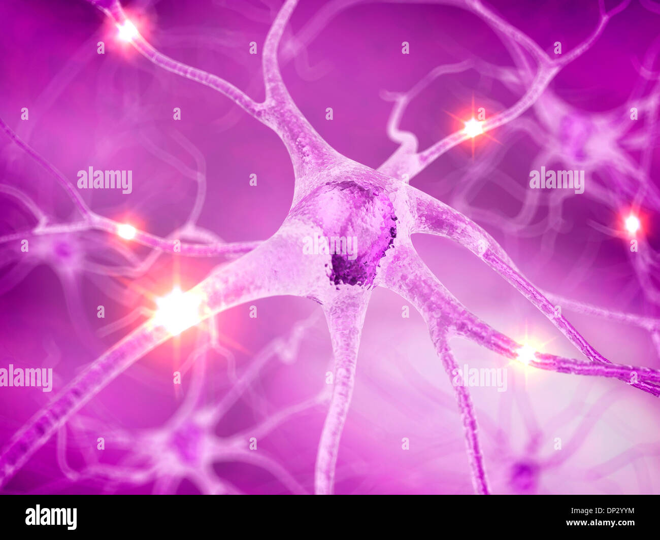 Active nerve cells, artwork Stock Photo - Alamy